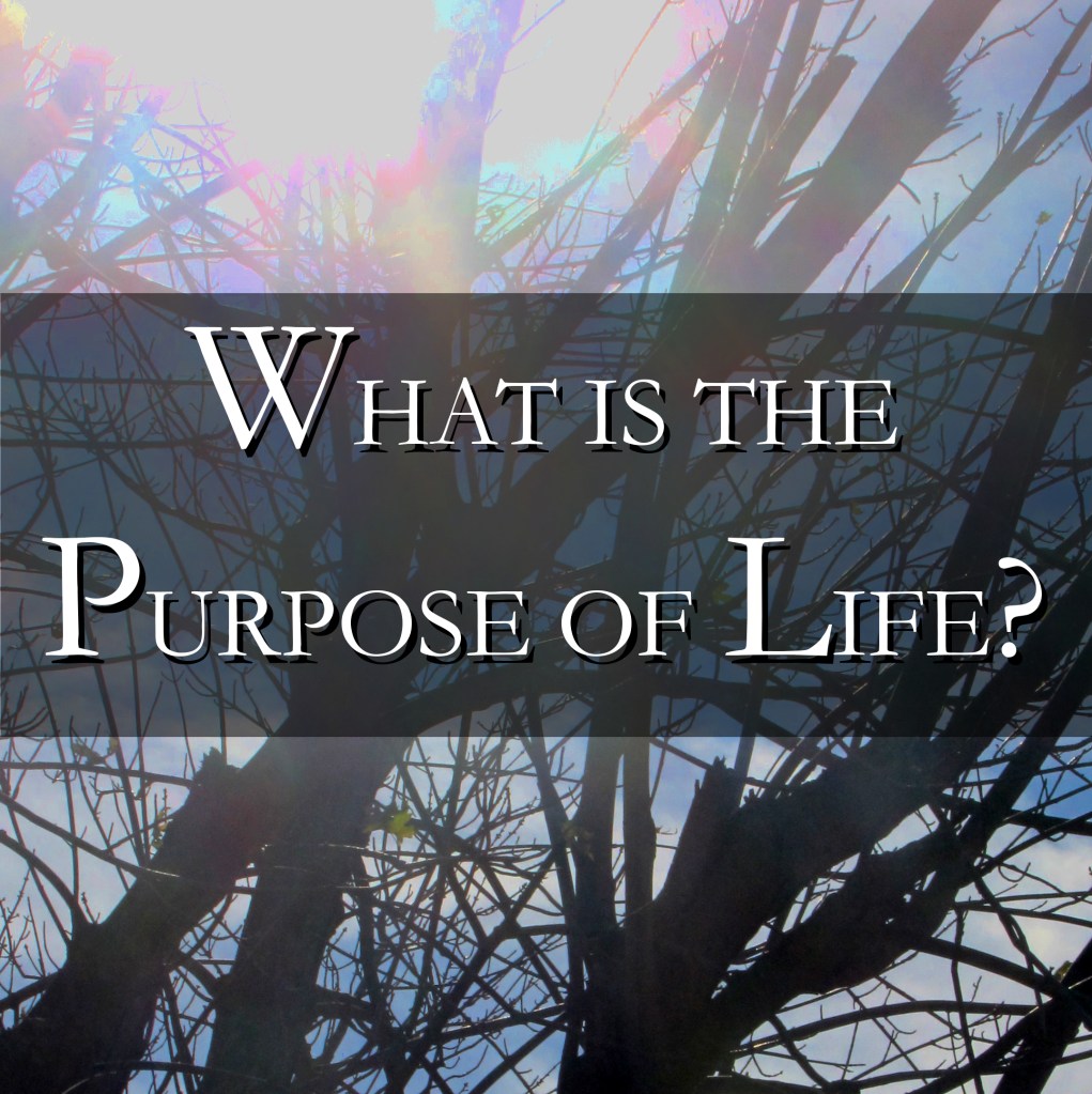 What is the Meaning of Life? – The Practical Christianity Blog